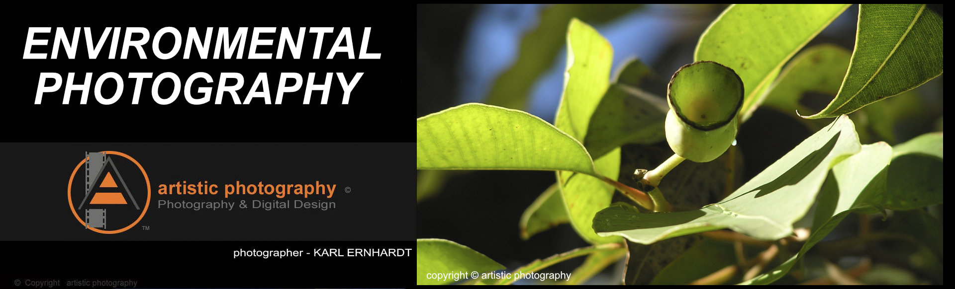 Environmental Photography | Artistic Photography (TM) - Photographing ...